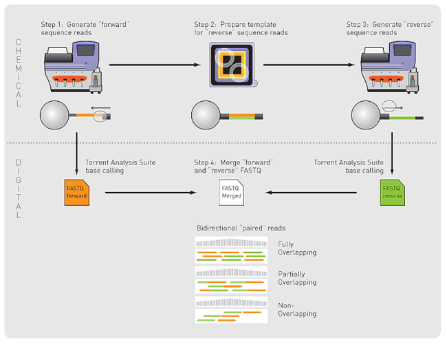 How to do multiplex of Ion torrent sequences - User Support - QIIME 2 Forum