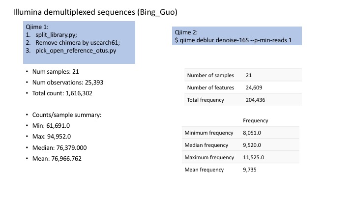 Import --i-reference-taxonomy taxonomy.tsv to .qza - User Support - QIIME 2 Forum
